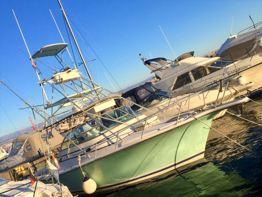 Shamrock Grand Slam 31