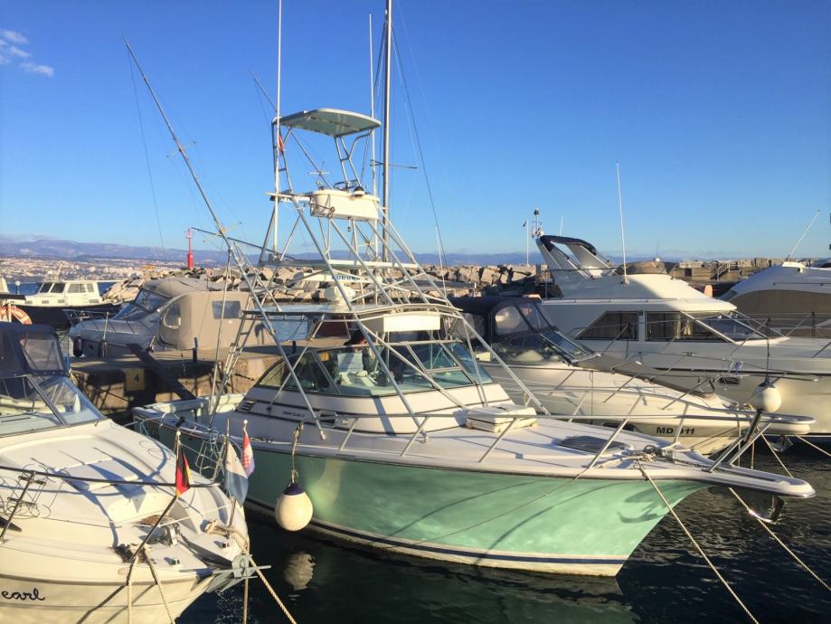 Shamrock Grand Slam 31