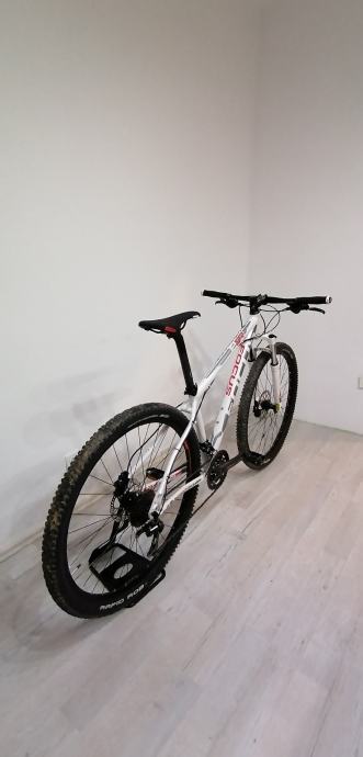 FOCUS Black Forest 29er