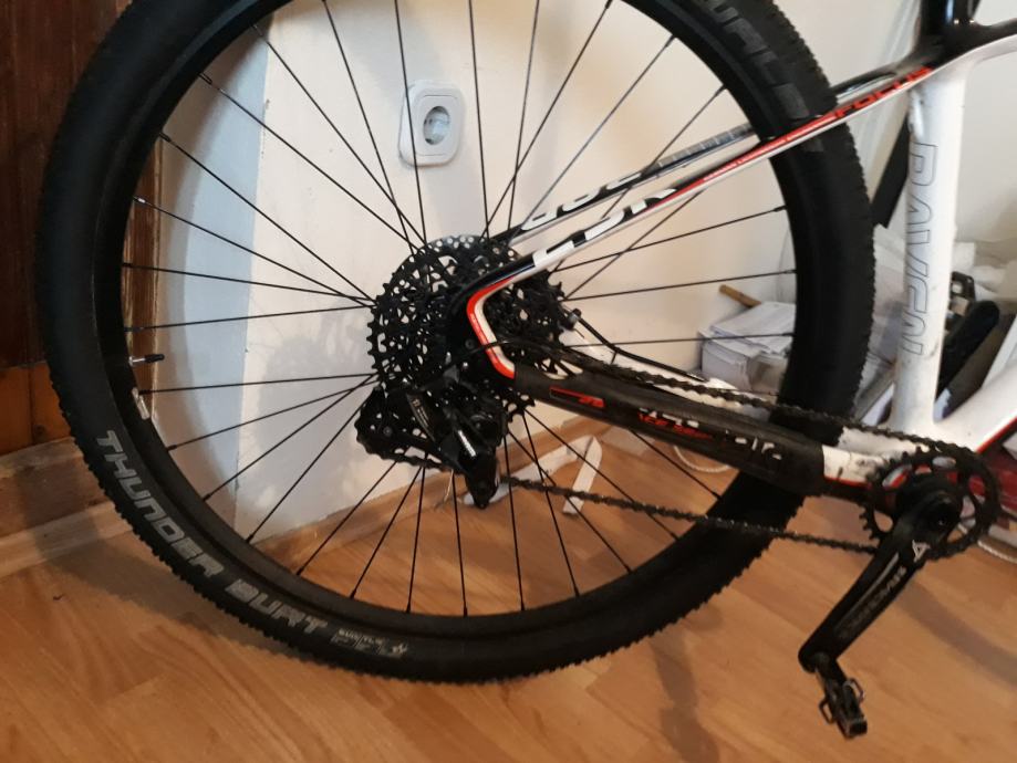 Focus Raven 29 R Carbon