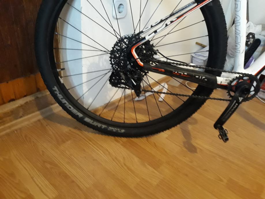 Focus Raven 29 R Carbon