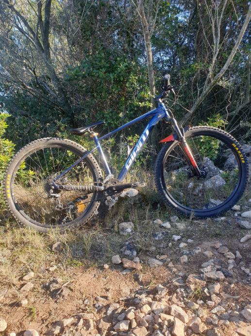 Giant Talon 5 2022 Navy Blue Custom