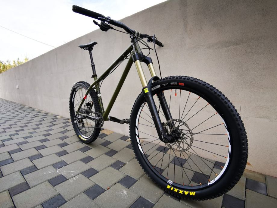 Ns surge L custom 27.5
