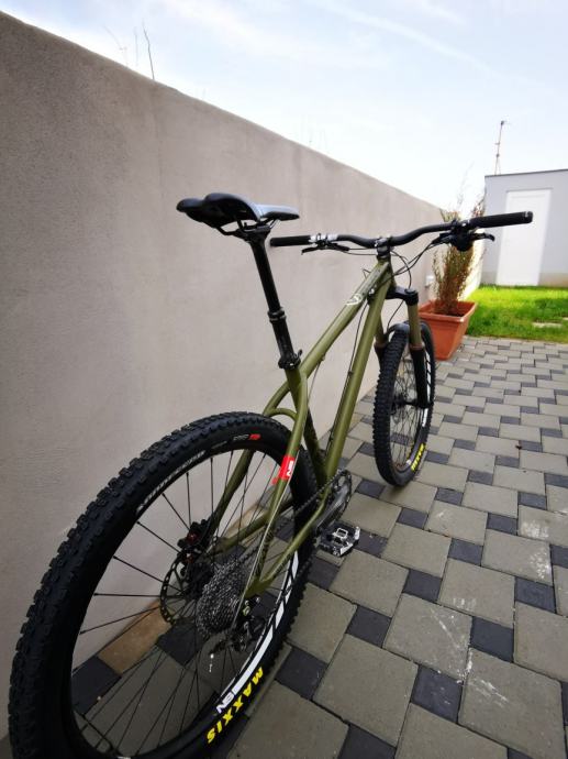 Ns surge L custom 27.5