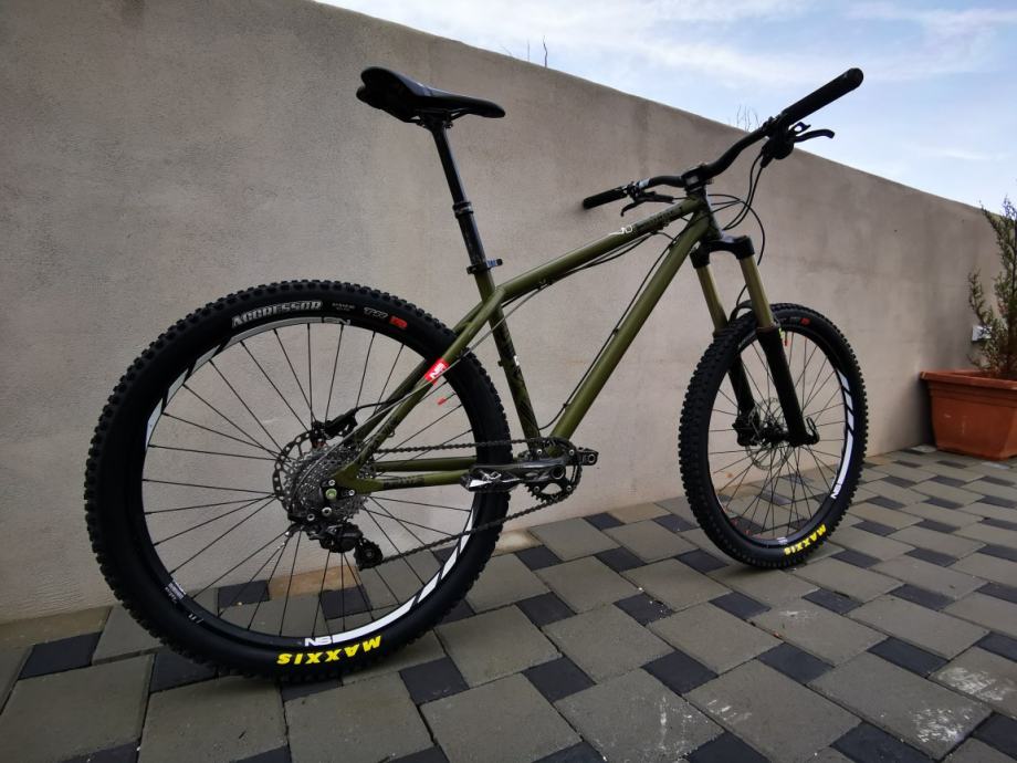 Ns surge L custom 27.5