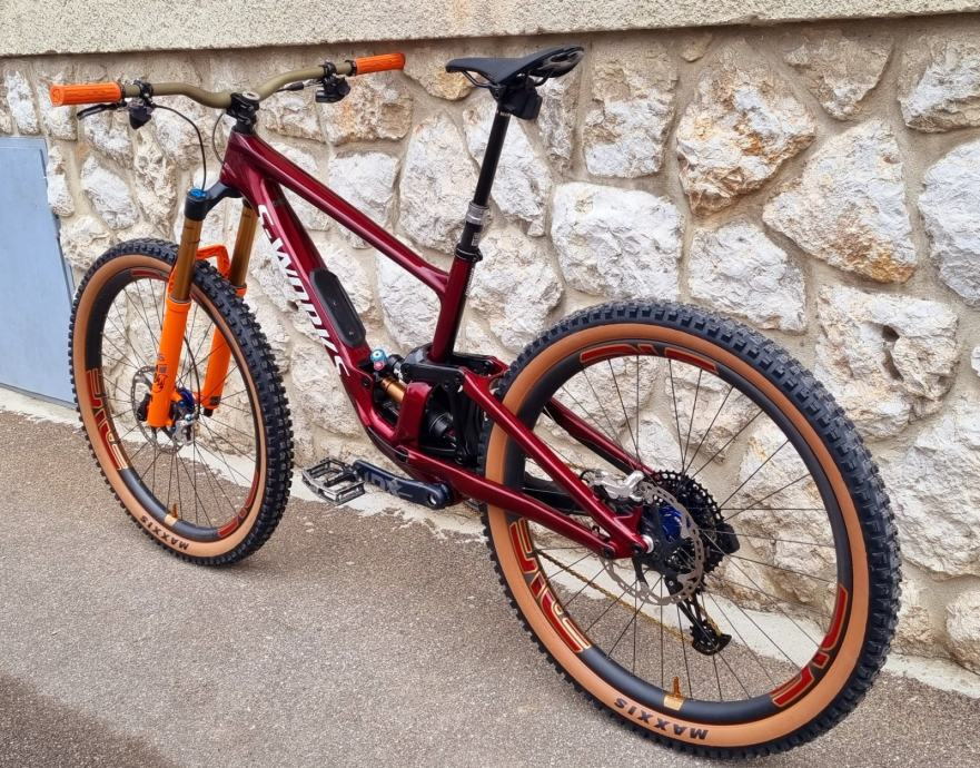 Specialized Enduro S-Works custom