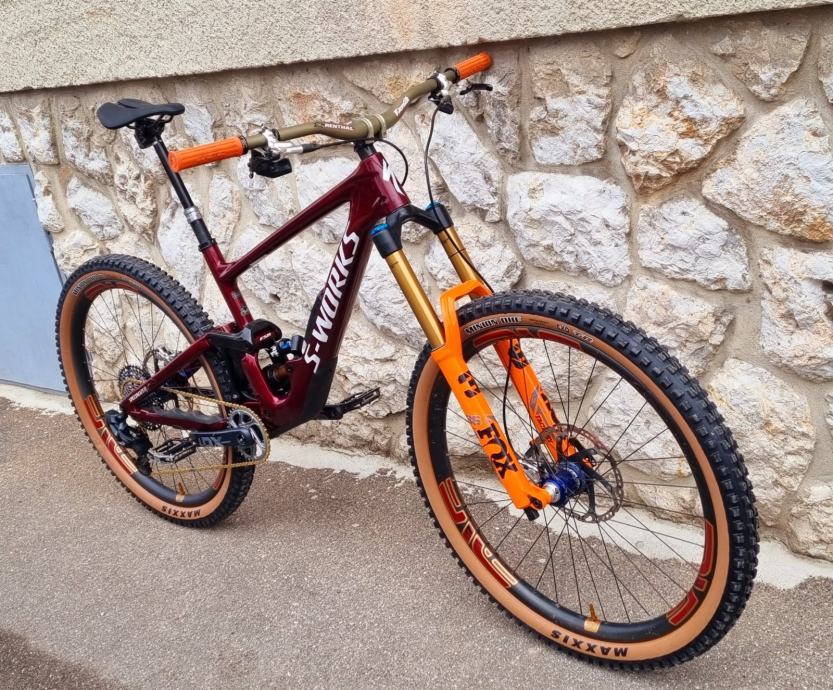 Specialized Enduro S-Works custom