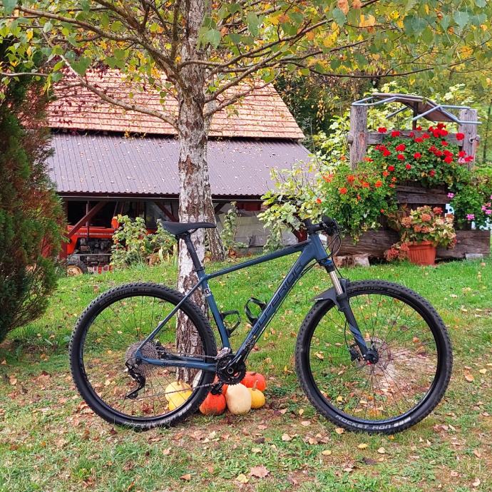 Superior XC 889 MTB 29 velicina L