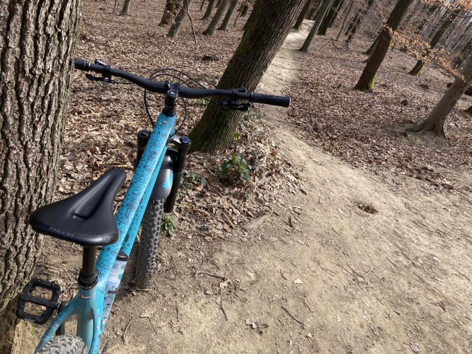 Yeti ARC, Custom build, Carbon, Shimano XT M8100, RockShox Pike