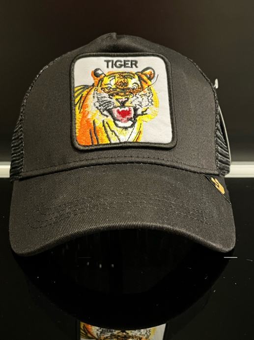 TIGAR-CRNA SILTERICA SA TIGROM U BOJI