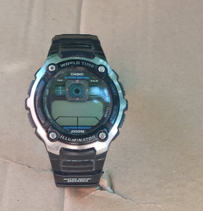 Casio sat