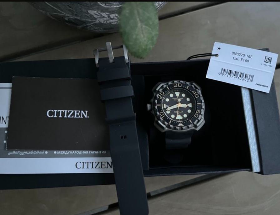 Citizen Promaster Titanium