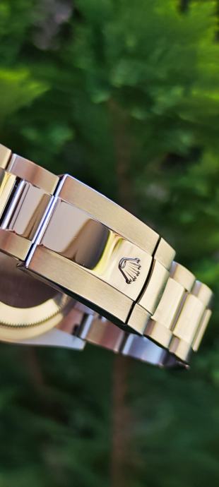 Rolex Datejust 36 PALM LEAF