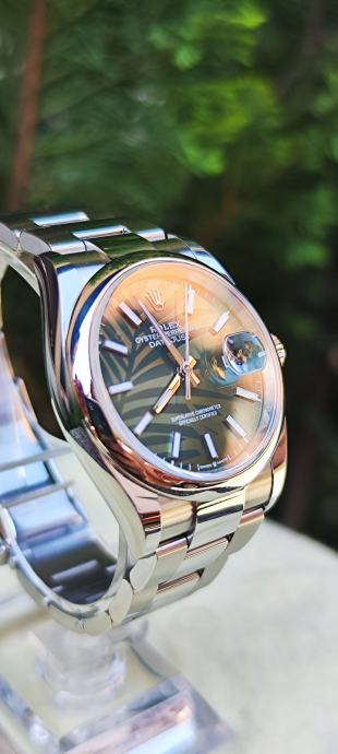 Rolex Datejust 36 PALM LEAF