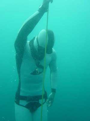 SECTOR DIVE MASTER:No Limits!!! Novo -GARANCIJA-