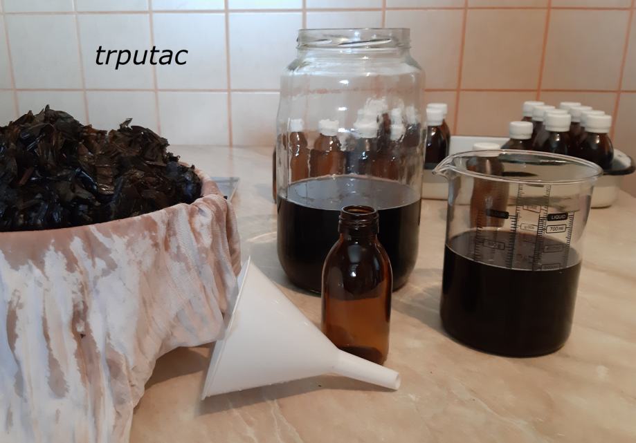 Sirup - vrhovi jele, bobice bazge, trputac, šipak