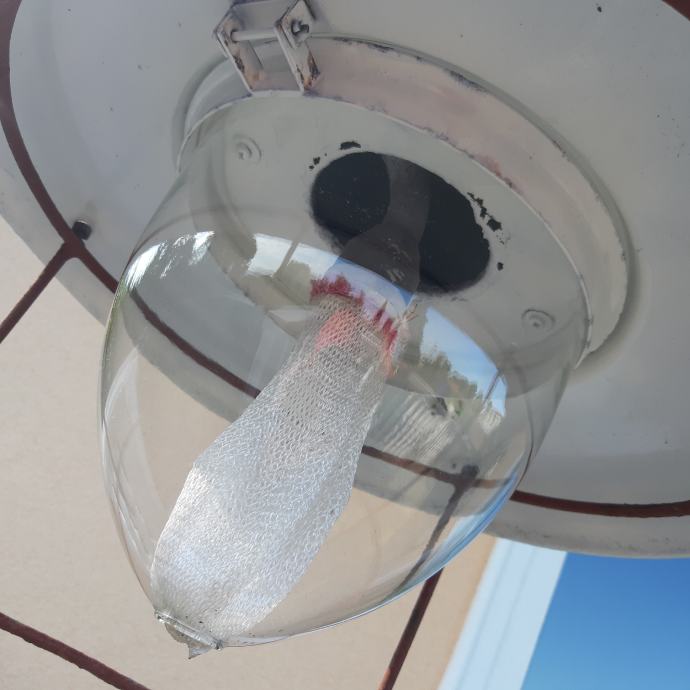 Plinski feral za ribolov