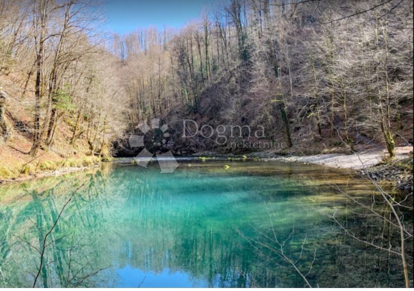 Bajka na izvoru rijeke Kupe (prodaja)