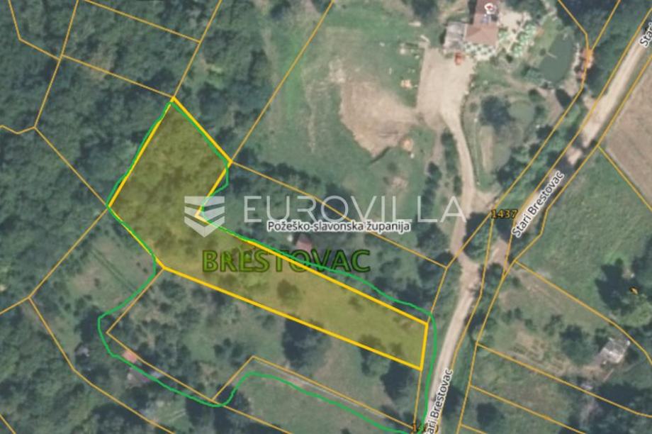 Brestovac, Stari Brestovac, atraktivno građevinsko zemljište 4780 m2