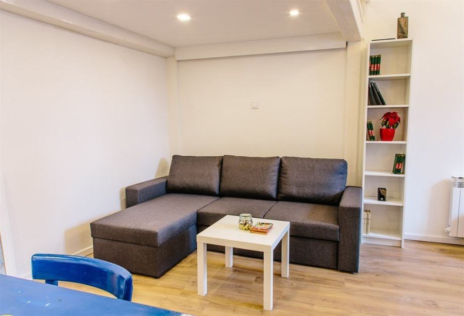 BRITANAC, JEDNOSOBAN STAN, 30 m2 (iznajmljivanje)