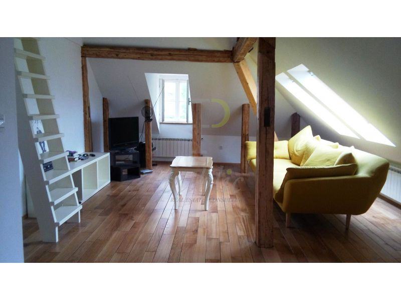 CENTAR 100m2, Radićeva (luksuzan dvoetažni 3.5soban stan) (iznajmljivanje)