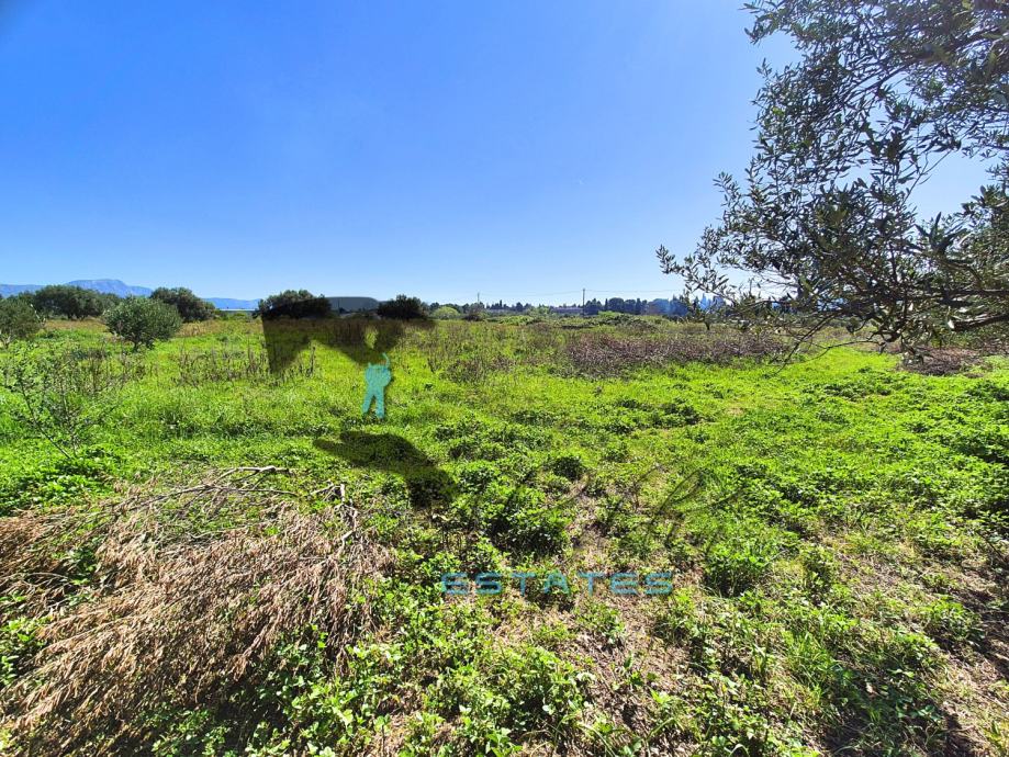 Divulje, odlično zemljište za gospodarske djelatnosti, 2000 m2
