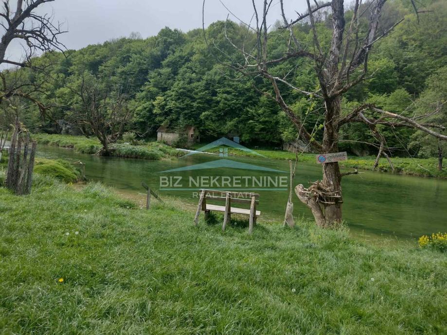 DRAGULJ NA KORANI - kuća+54000 m2
