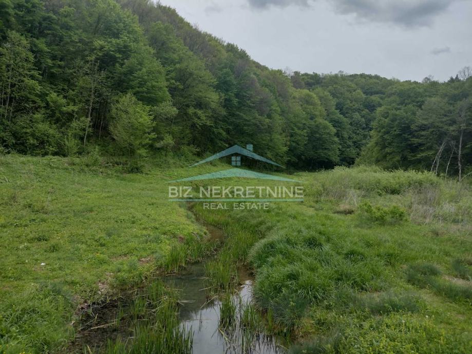 DRAGULJ NA KORANI - kuća+54000 m2