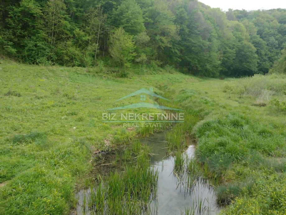 DRAGULJ NA KORANI - kuća+54000 m2