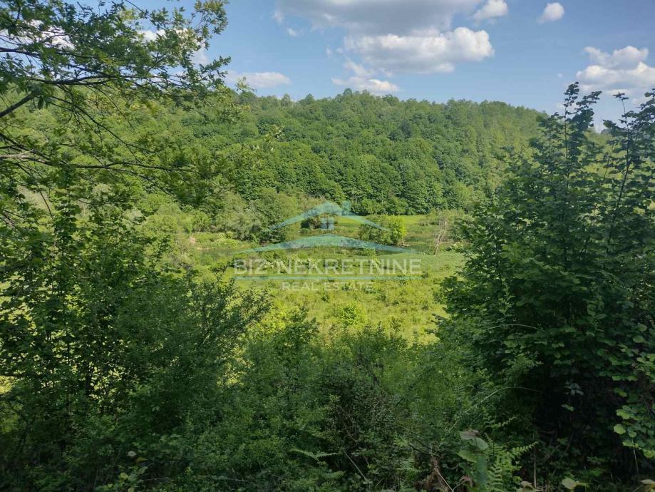 DRAGULJ NA KORANI - kuća+54000 m2