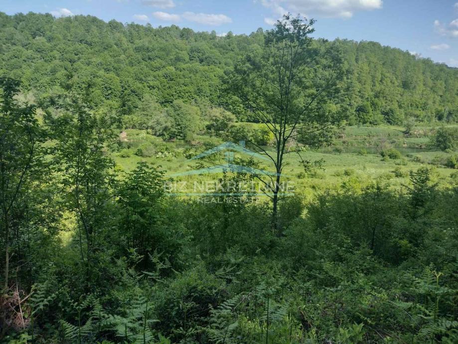 DRAGULJ NA KORANI - kuća+54000 m2