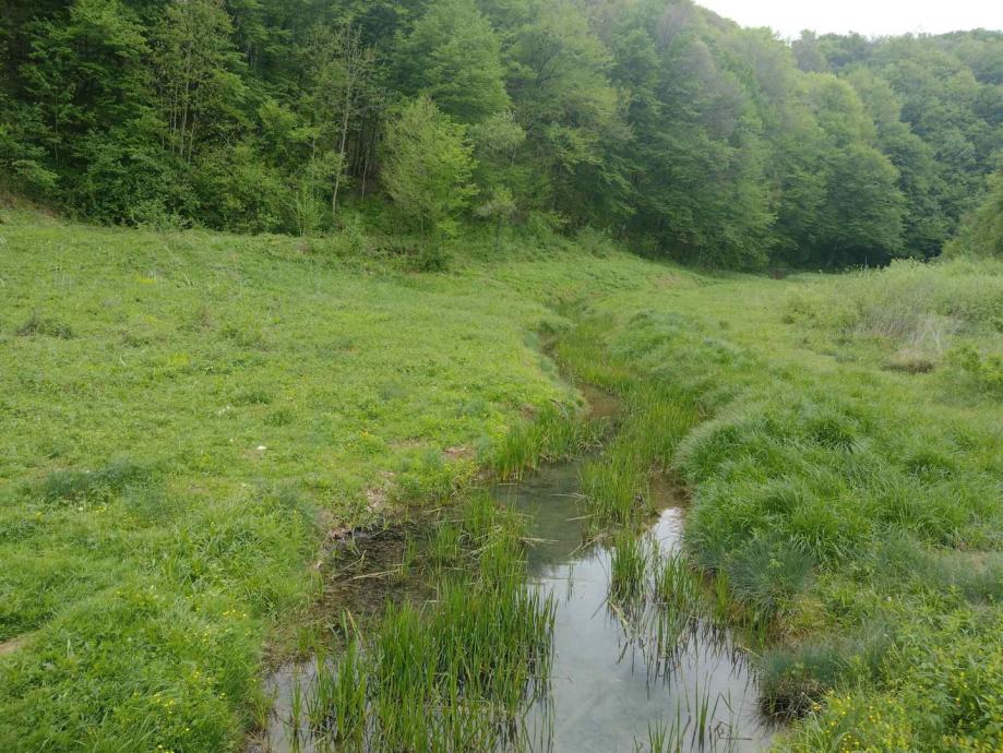 DRAGULJ NA KORANI - kuća+54000 m2