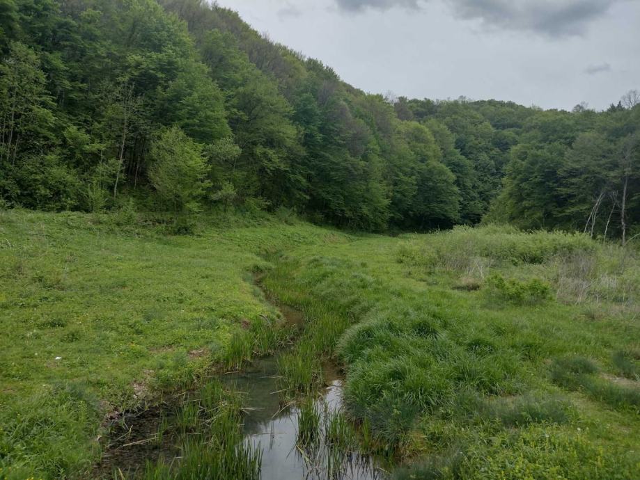 DRAGULJ NA KORANI - kuća+54000 m2