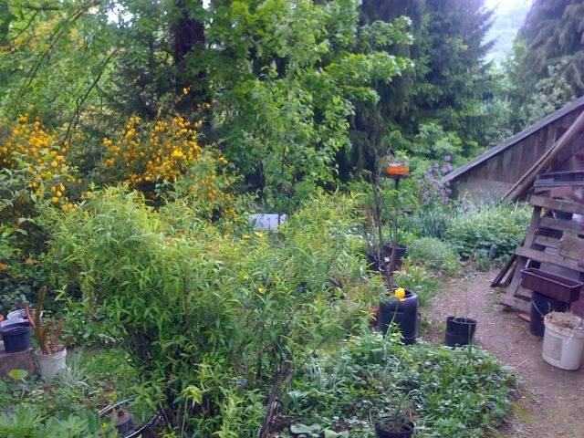 Gorski kotar kuća (prodaja)