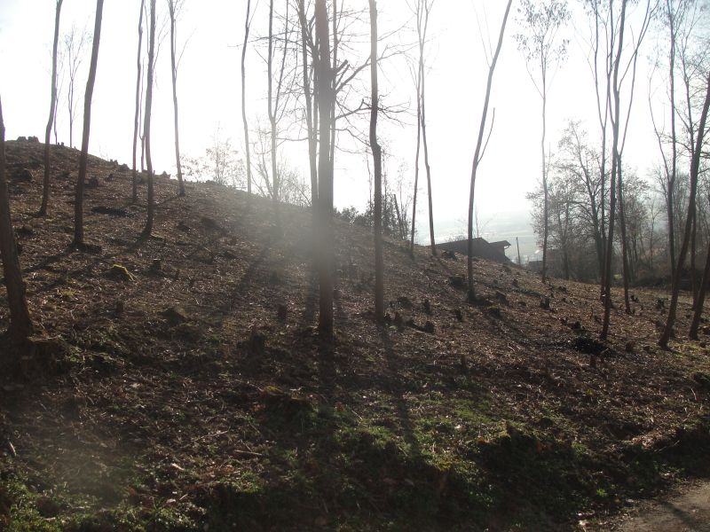 Građ. zemlj., D. Laduč, 2520 m2 - POGLED - MIR - PRIRODA