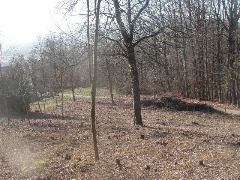 Građ. zemlj., D. Laduč, 2520 m2 - POGLED - MIR - PRIRODA