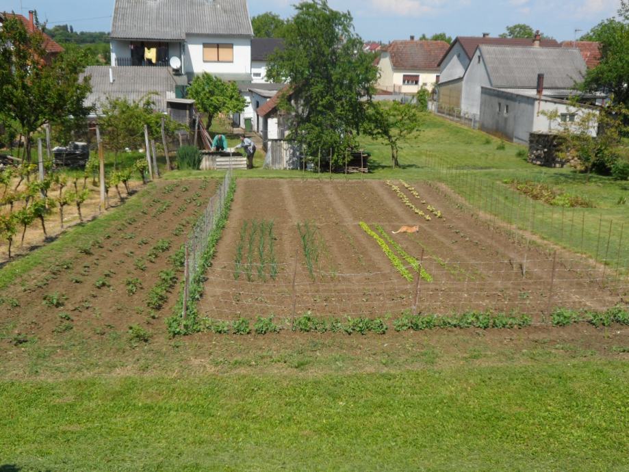 Građevinsko i poljoprivredno zemljište, Milanovac, Virovitica, 3500 m2