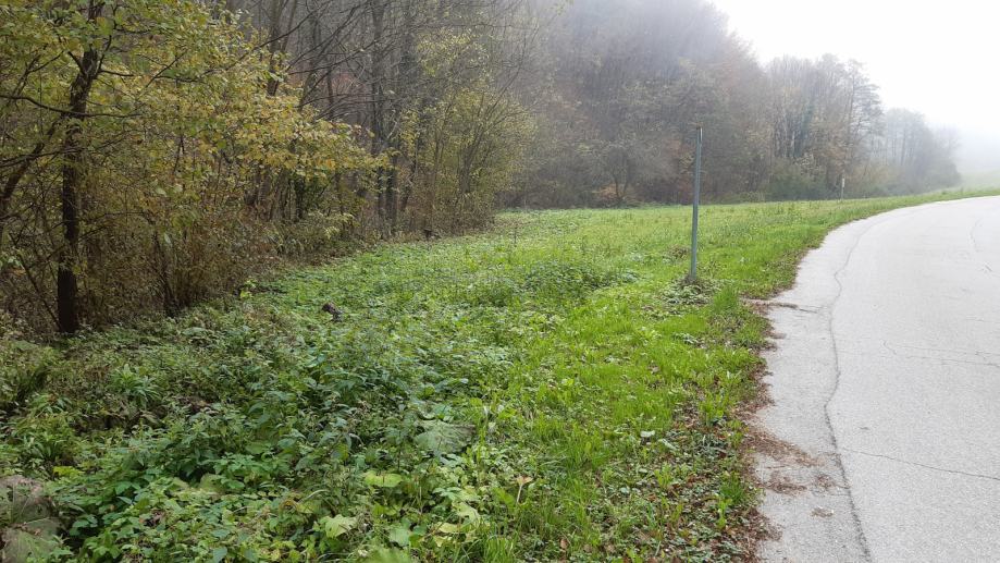 Građevinsko zemljište, Rude, 1841 m2