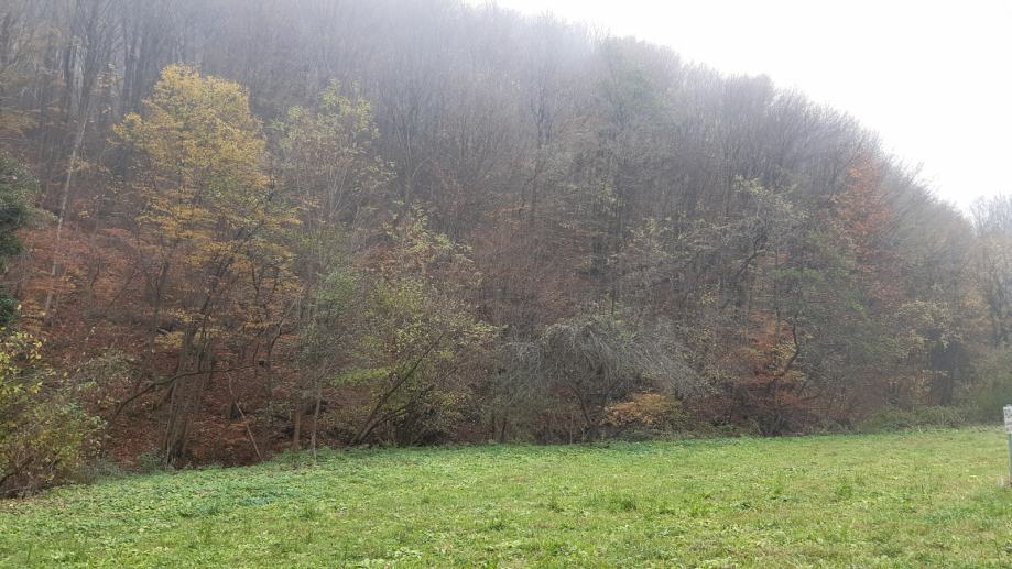 Građevinsko zemljište, Rude, 1841 m2