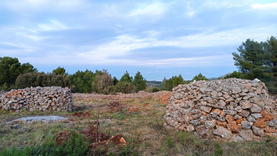 Zemljište maslinik 18 120 m2 - 108 000€