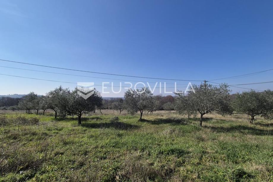 Istra, Bale, građevinsko i poljoprivredno zemljište s pogledom na more