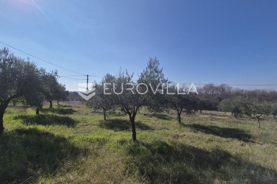 Istra, Bale, građevinsko i poljoprivredno zemljište s pogledom na more