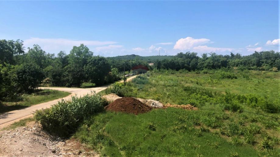 Istra, Buje-Kaldanija, građevinska parcela 596 m2