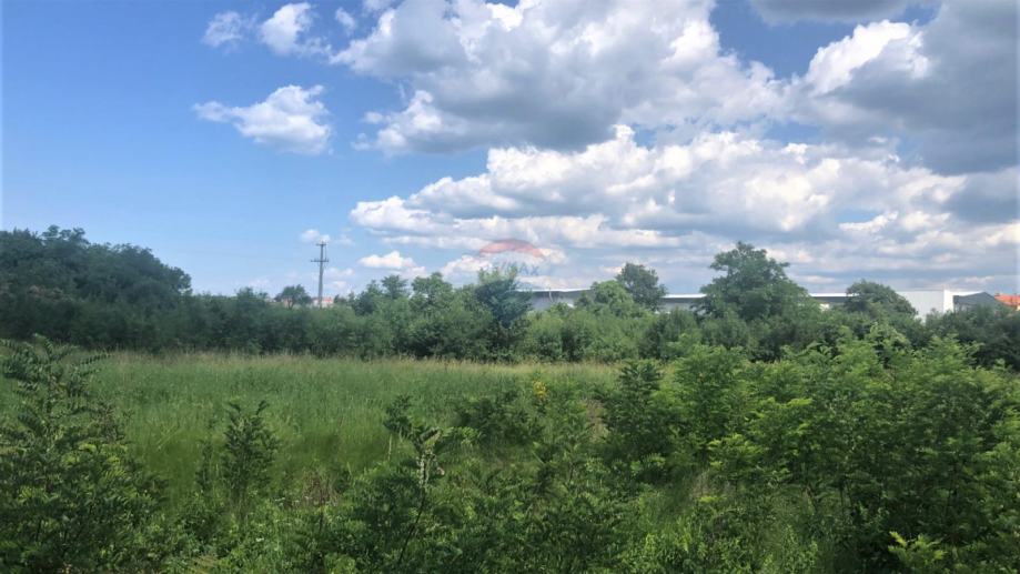 Istra, Buje-Kaldanija, građevinska parcela 596 m2