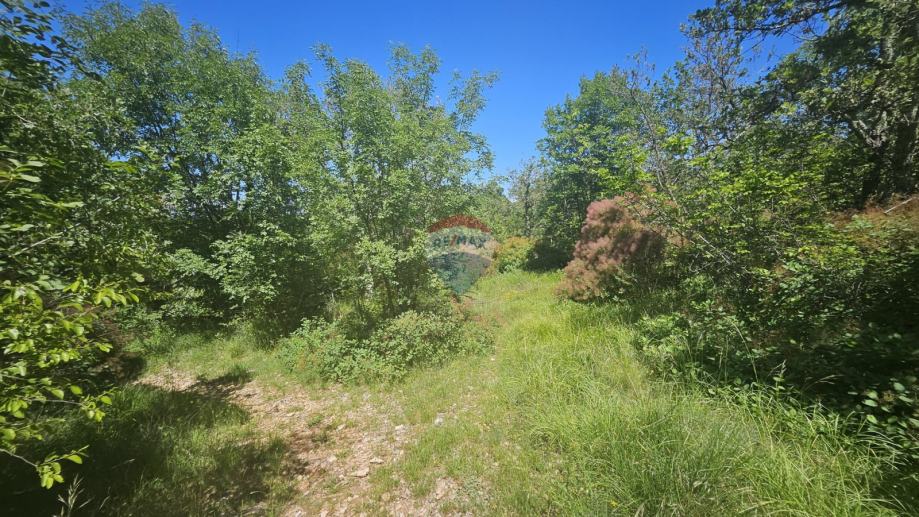 Istra, Buje, Kaštel- građevinsko zemljište