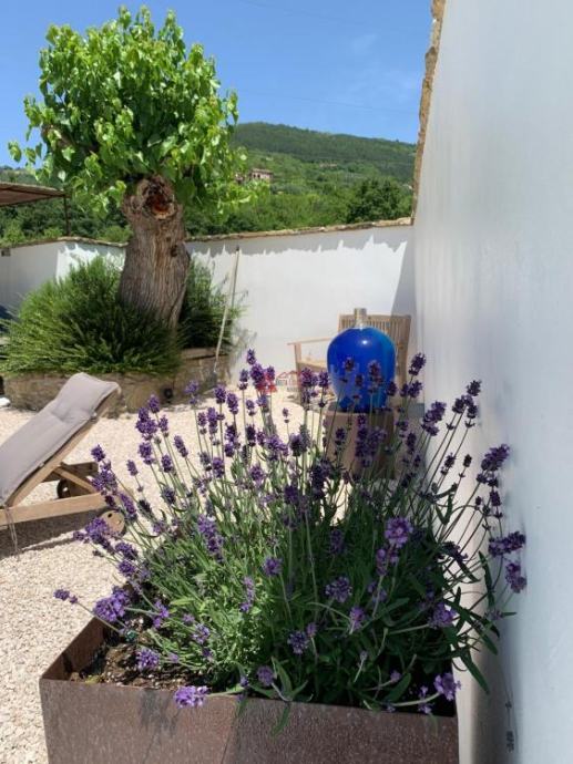 ISTRA, Buje, Livade - dizajnerska kuća sa bazenom (prodaja)