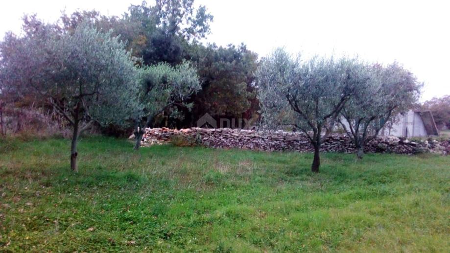 KAVRAN - Građevinsko zemljište na zanimljivoj lokaciji!