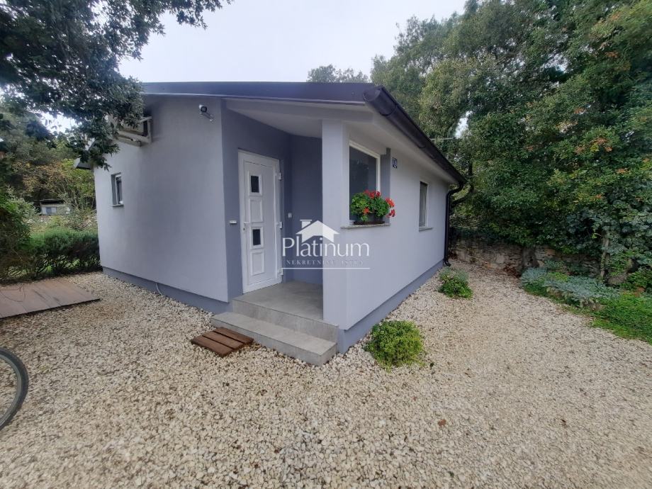 Istra, Kavran prekrasna prizemnica, TOP, PRILIKA