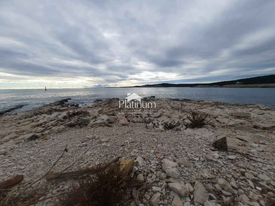 Istra, Kavran prekrasna prizemnica, TOP, PRILIKA