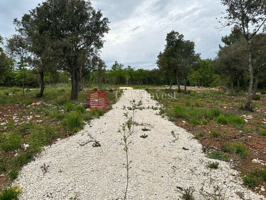 ISTRA, Kavran, više poljopr. parcela 300-470 m2 - za prodaju